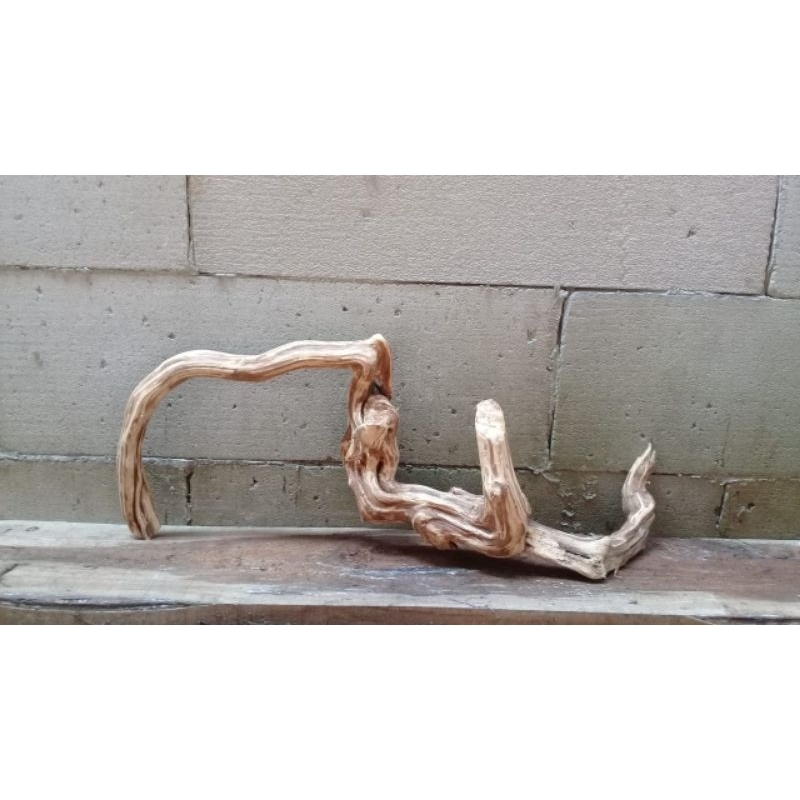 Jual akar kayu hutan berkarakter/unik | Shopee Indonesia