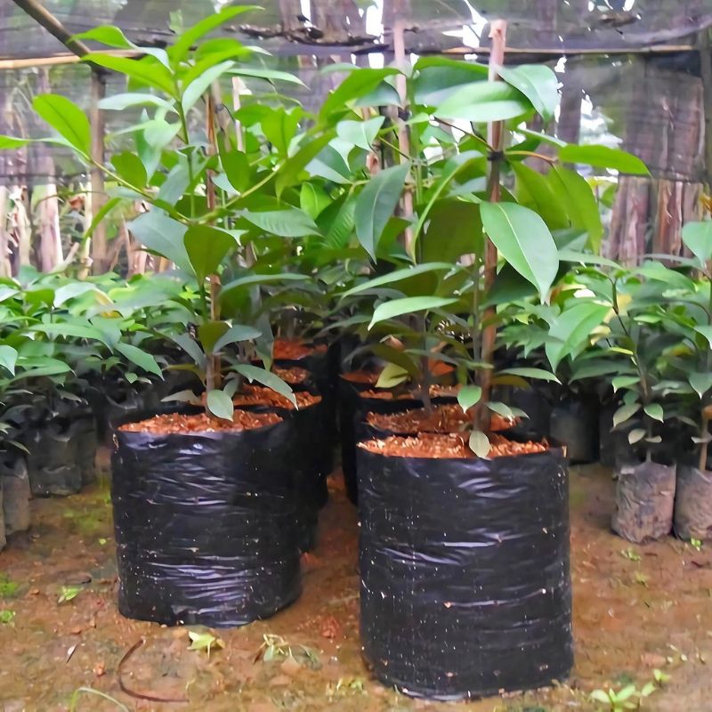 Jual Polybag tanaman ukuran 40x40 cm 1pcs polibag plastik | Shopee ...