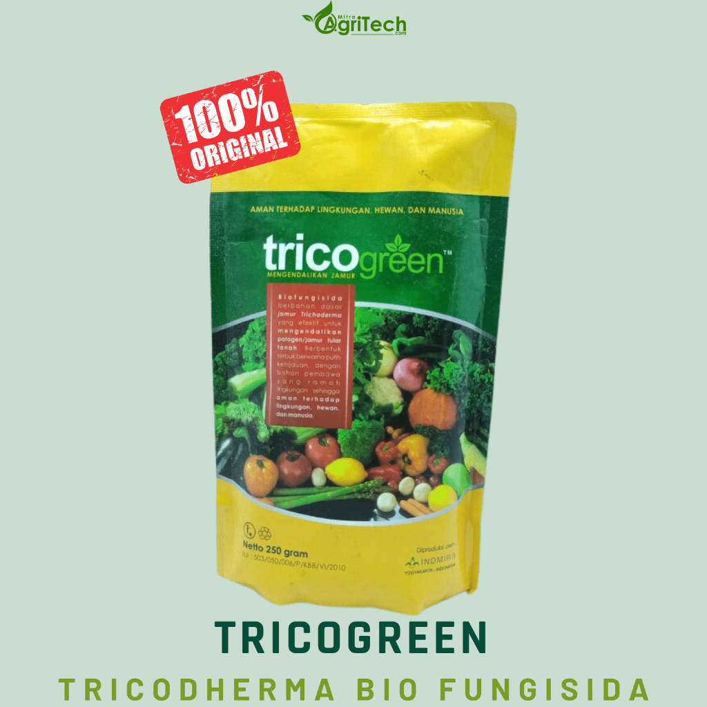 Jual TRICO GREEN BIOFUNGISIDA TRICODERMA 250 GRAM ANTI JAMUR TRICOGREEN ...