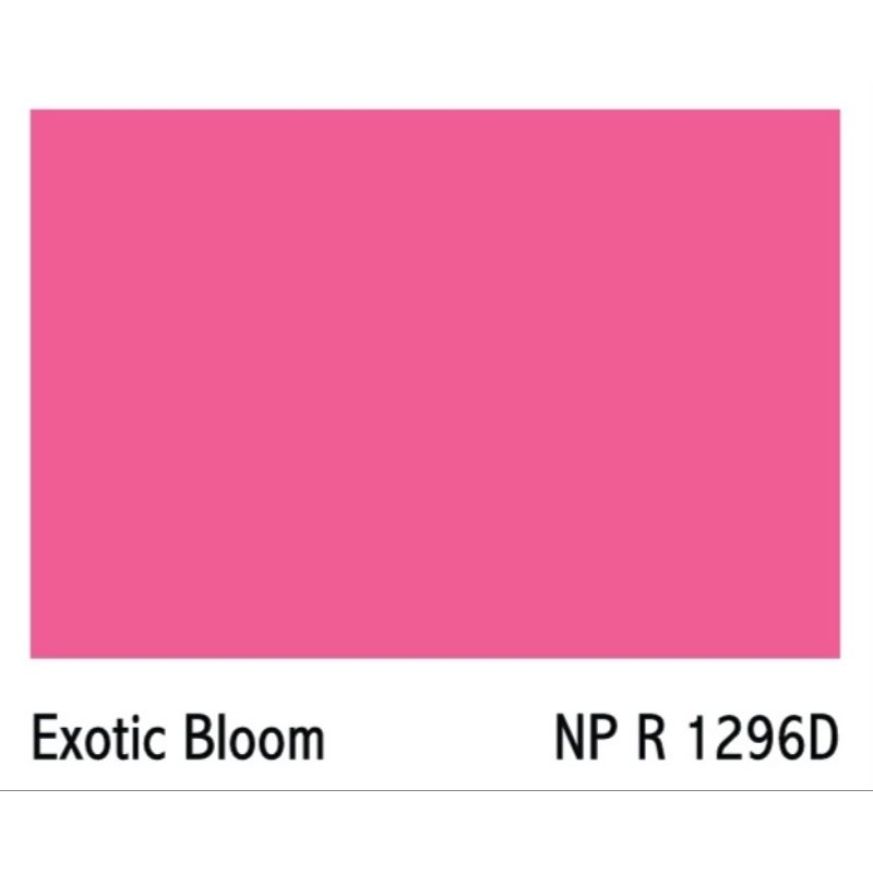 Jual KIMEX NIPPON PAINT4.5 KG / KIMEX CAT TEMBOK EXTERIOR INTERIOR ...