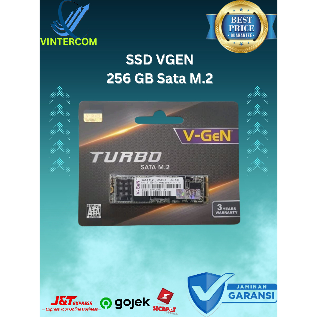 Jual SSD VGEN 256GB SATA M.2 (SSD VGEN M2) | Shopee Indonesia