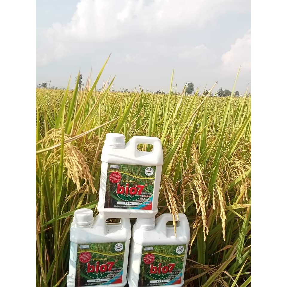 Jual Pupuk Organik Cair Bio7 Padi Hayati alami bioaktivator kemasan 1 ...
