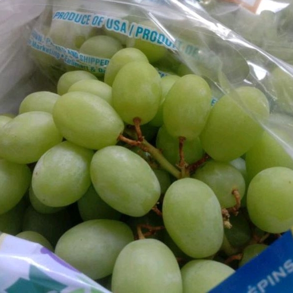 Jual BUAH ANGGUR HIJAU NON BIJI FRESH GARING 1 KG | Shopee Indonesia