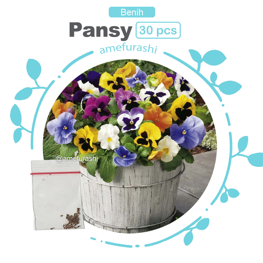 Jual Amefurashi 10 Benih Biji Bibit Bunga Peony Mix Paeonia Lactiflora ...