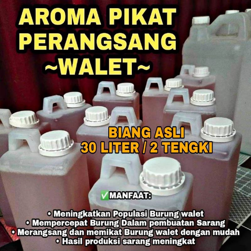 Jual Vitamin Parfum Walet, Aroma Per4ngsang Burung Walet Cepat Inap Dan ...