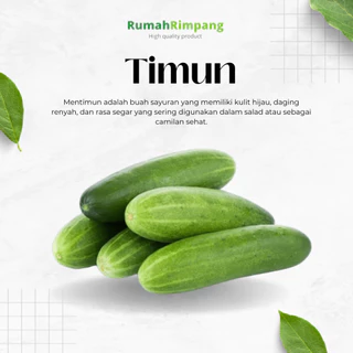Jual Timun 1 Kg Terlengkap & Harga Terbaru Desember 2024 | Shopee Indonesia