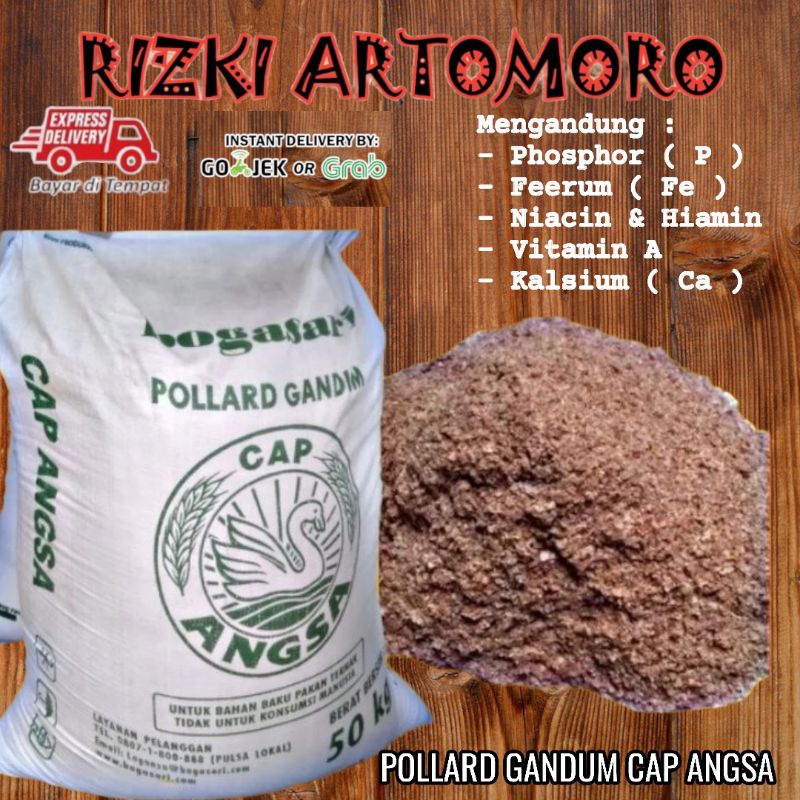 Jual Pollard polar cap angsa kualitas terbaik dikelasnya | Shopee Indonesia