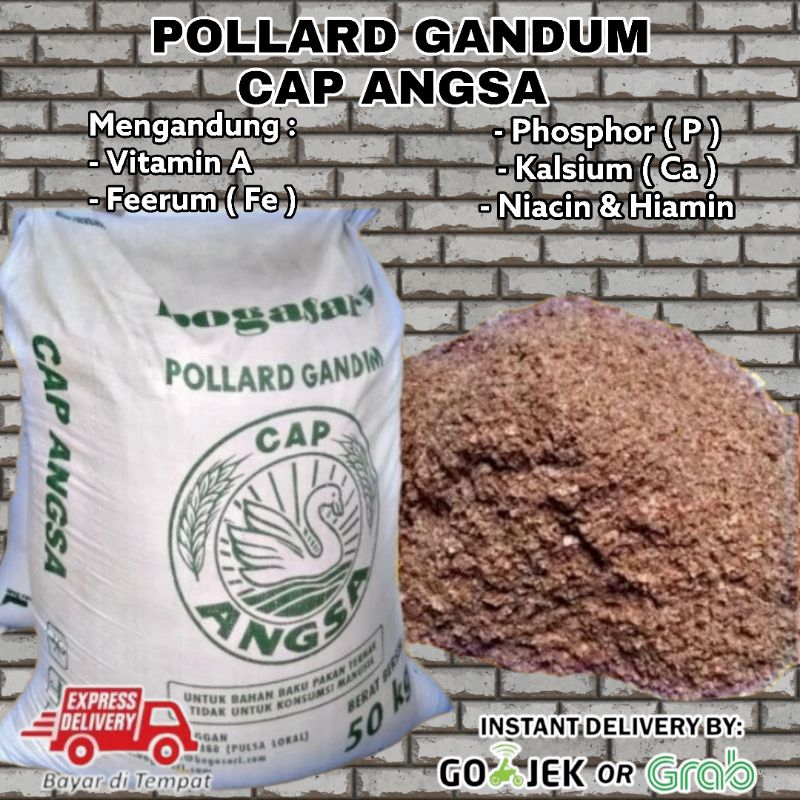 Jual Pollard polar cap angsa kualitas terbaik dikelasnya | Shopee Indonesia