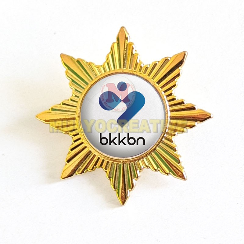 Jual Pin BKKBN Pin Bros Wing Logo BKKBN | Shopee Indonesia