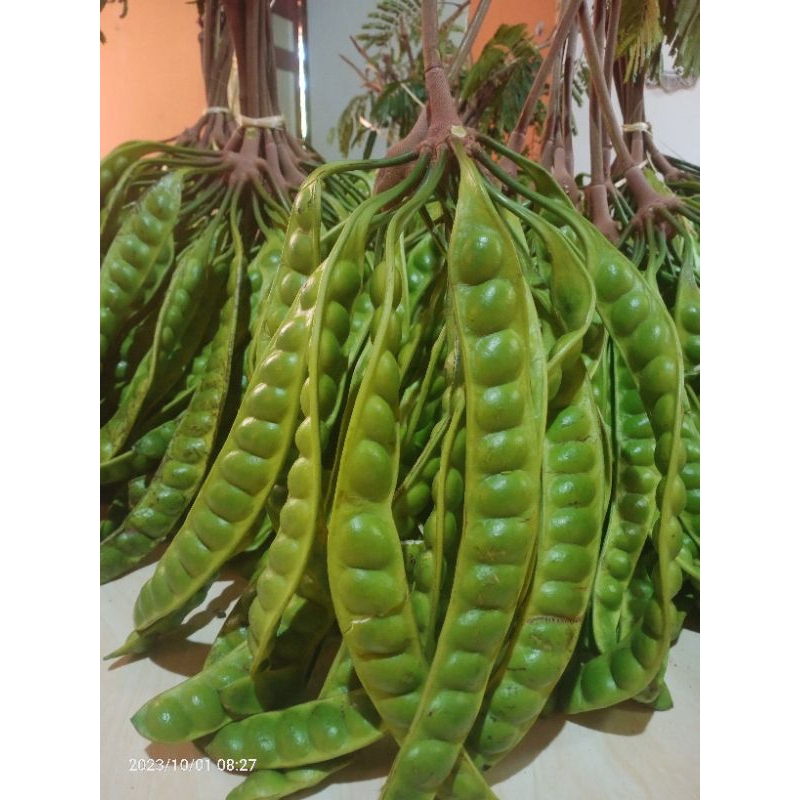 Jual Pete Paket super sekilo | Shopee Indonesia