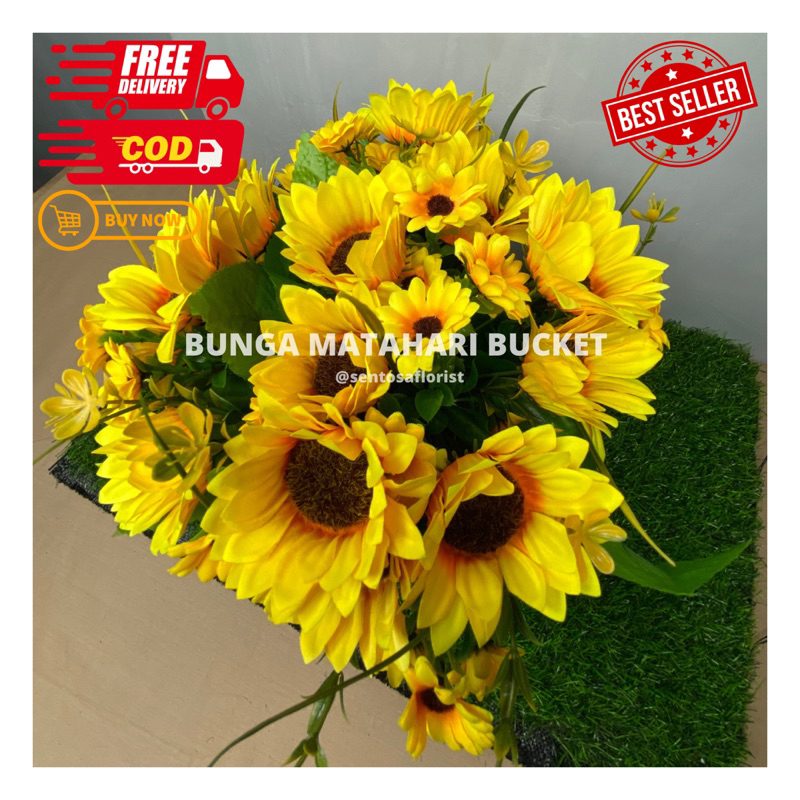Jual BUNGA MATAHARI BUCKET/BUNGA MATAHARI IMPORT PREMIUM/BUNGA ...
