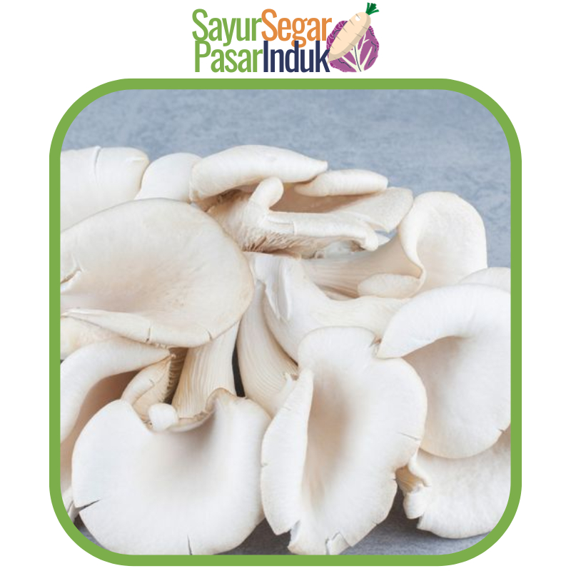Jual Jamur Tiram Putih 250gr Sayur Segar Pasar Induk | Shopee Indonesia