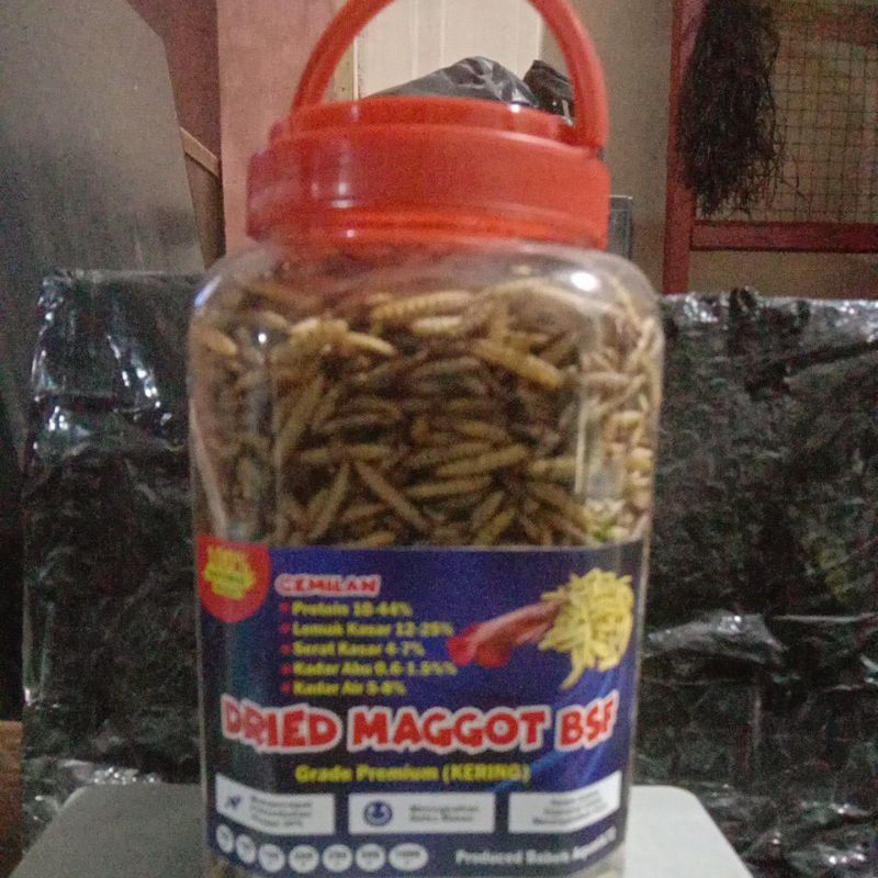 Jual MAGOT KERING | BERKUALITAS |SUPER| PREMIUM | 250g | Shopee Indonesia