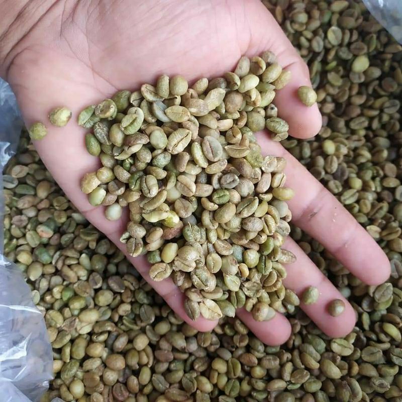 Jual Greenbean Biji Kopi Liberika G1 | Shopee Indonesia