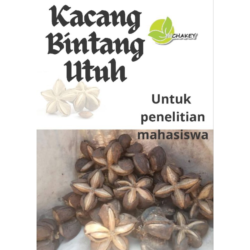 Jual KACANG /Biji BINTANG UTUH SACHA INCHI 1kg | Shopee Indonesia