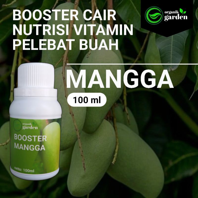 Jual MANGGA | booster cair nutrisi vitamin pelebat buah MANGGA 100ml ...