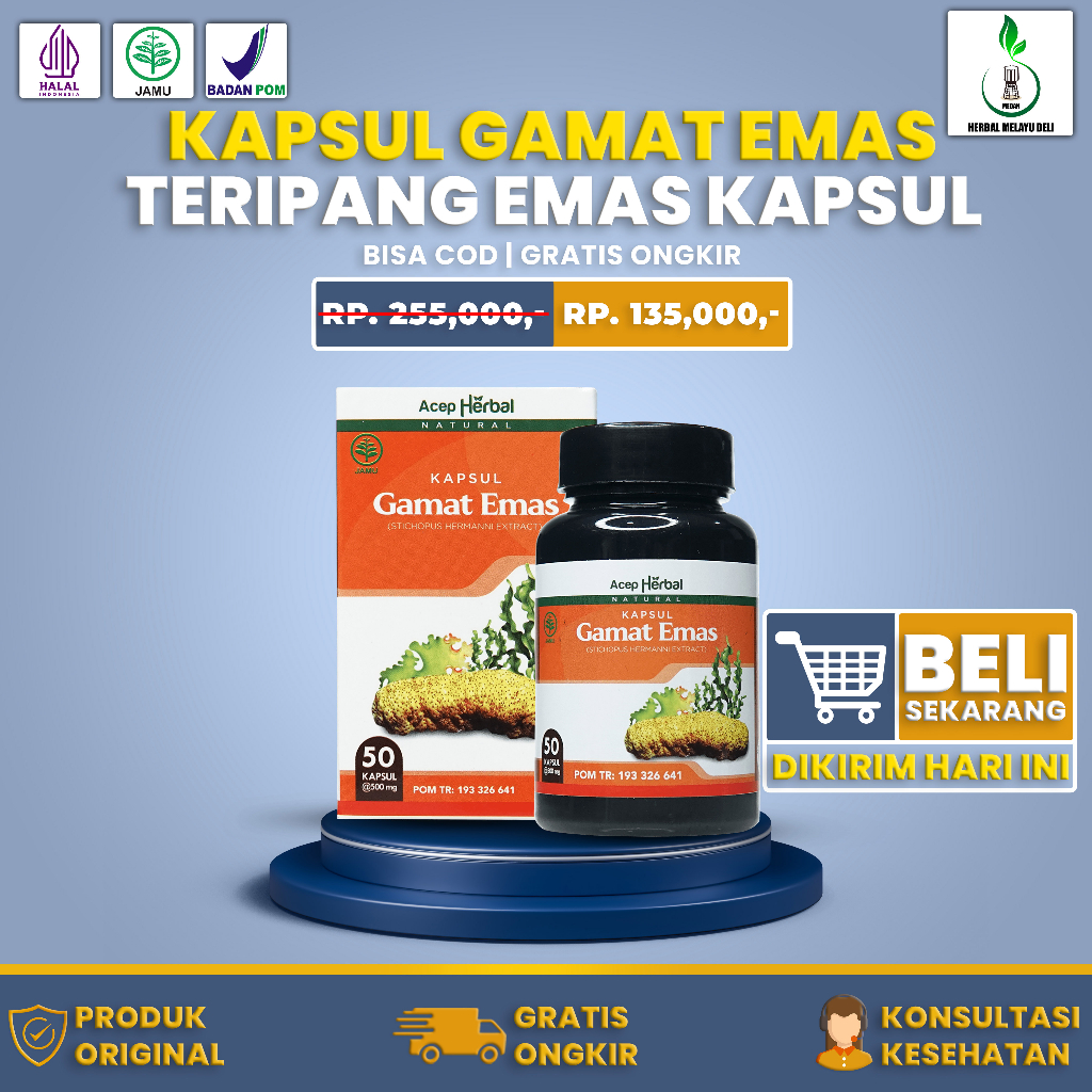 Jual Obat Herbal Kapsul Gamat Emas - Herbal Melayu Deli | Shopee Indonesia