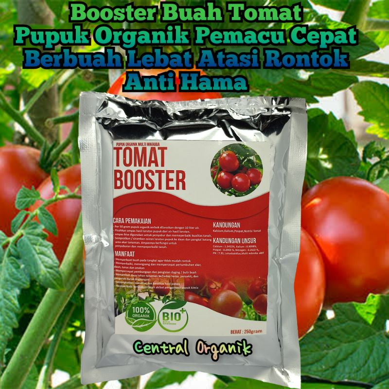Jual Pupuk booster tomat perangsang bunga dan pelebat buah kemasan 250 gram bisa cod promo ...