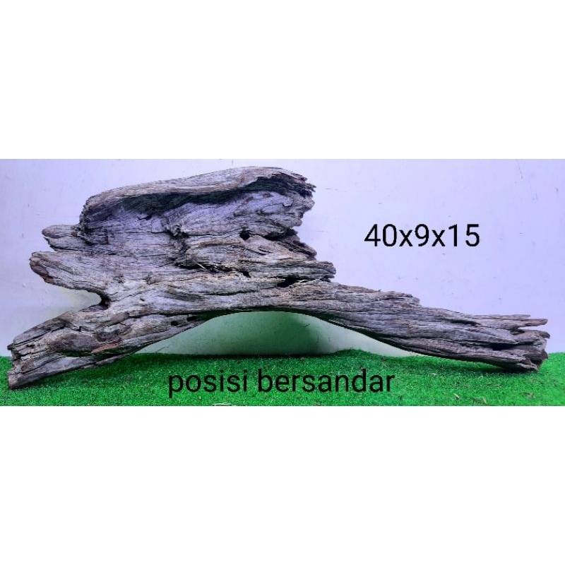 Jual Kayu Santigi Laut - Kayu Tenggelam - Aquascape - Channa - 40x9x15 ...
