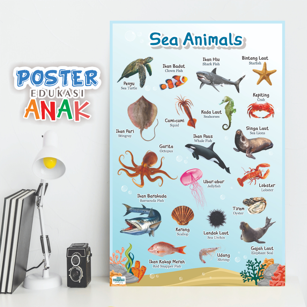Jual Poster Edukasi Anak - Poster Hewan Laut - Poster Sea Animals ...