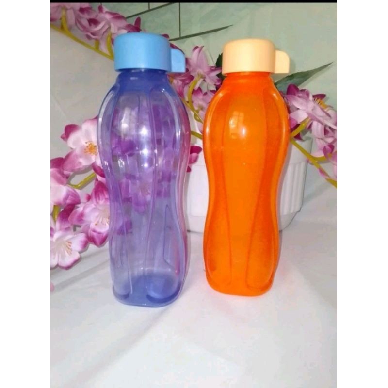 Jual botol minum botol eco 500ml fit to go Tupperware 1pcs | Shopee ...