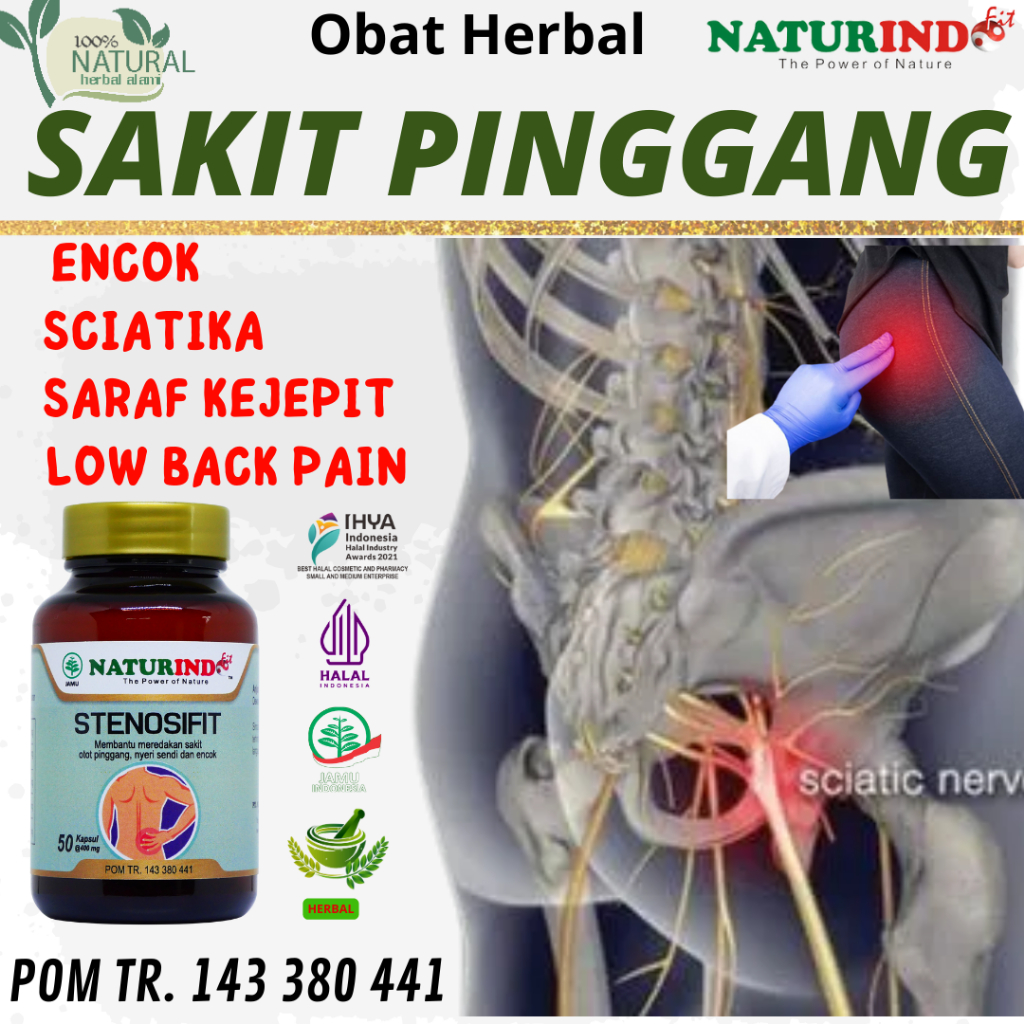 Jual Obat Saraf Kejepit Pinggang Obat Sakit Pinggang Saraf Kejepit Encok Nyeri Sendi Herbal ...