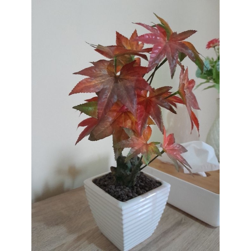Jual Pot mika dan pohon maple plastik | Shopee Indonesia