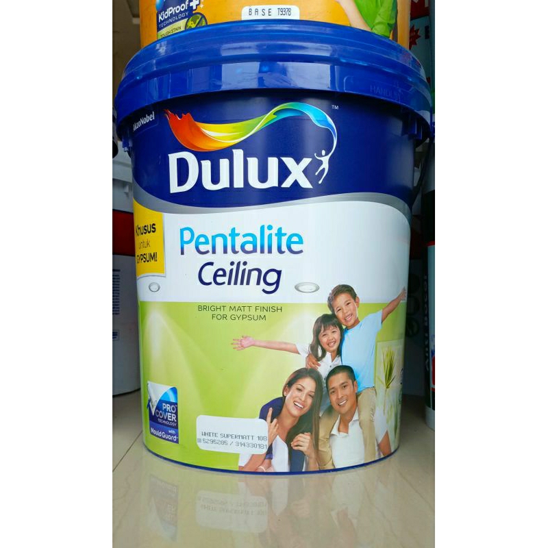 Jual Cat Plafon Gypsum Dulux Pentalite Ceiling White Supermatt 25Kg ...