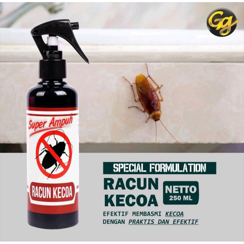 Jual Gun Killer spray racun kecoa pembasmi kecoa ampuh 250ml dan 100ml ...