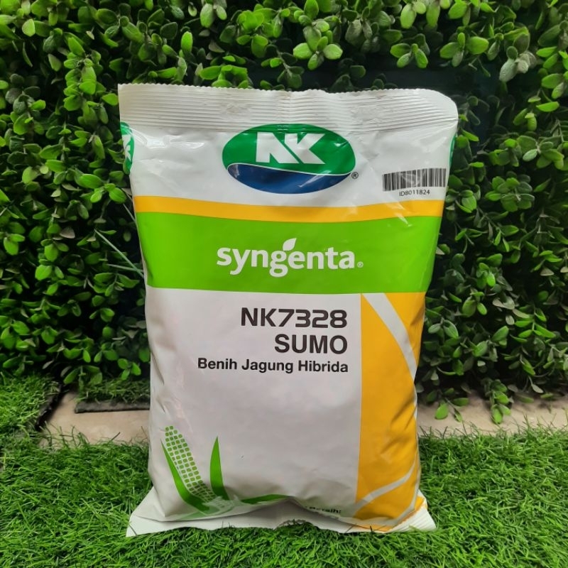 Jual Benih Jagung Hibrida NK 7328 Sumo - 1kg syengenta | Shopee Indonesia
