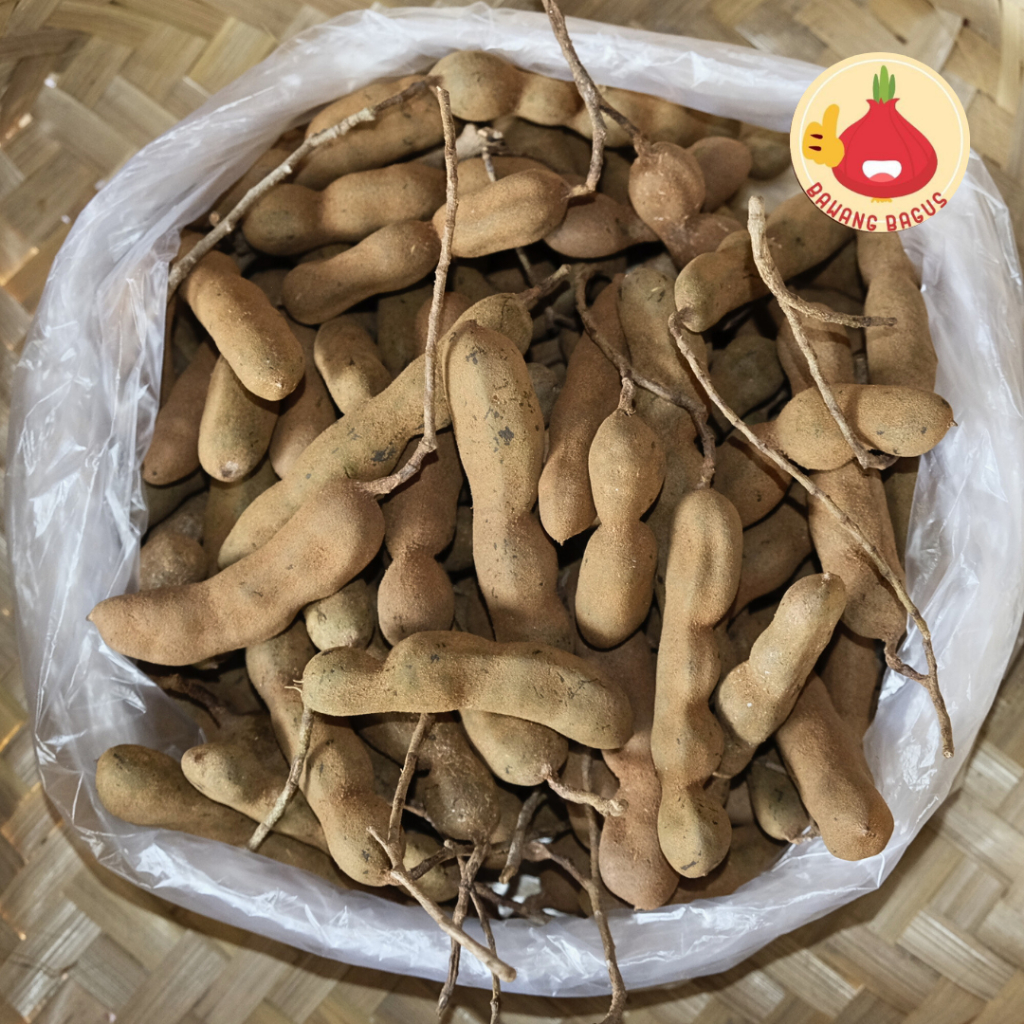 Jual Asam Muda / Buah Asam / Asam Jawa | Shopee Indonesia