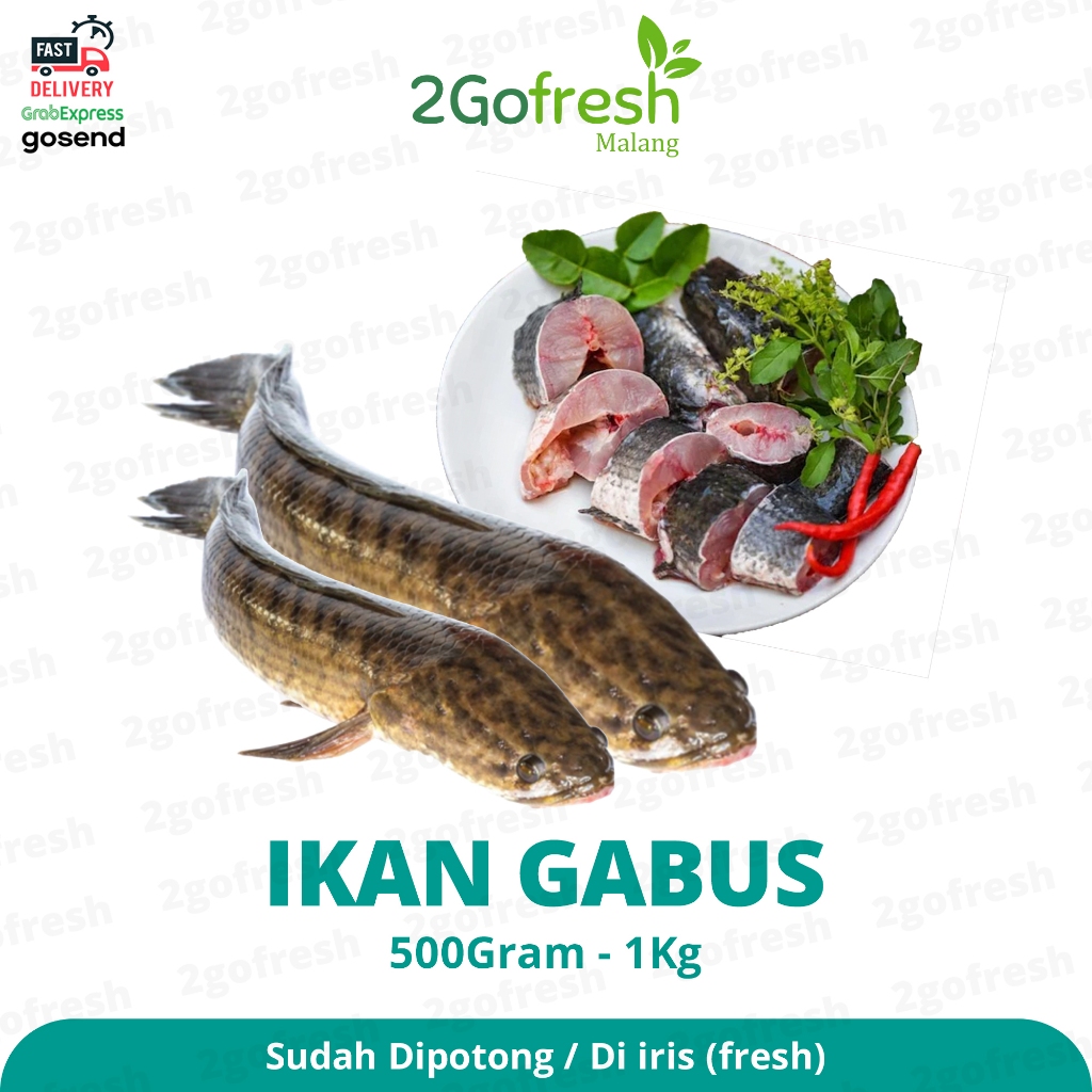 Jual Ikan Gabus (Fresh Sudah dipotong) - Sayur Sayuran | Shopee Indonesia