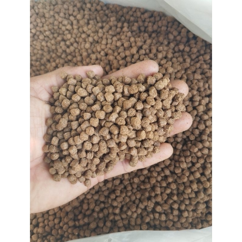 Jual PAKAN IKAN APUNG EKOFEED-4 REPACK 1KG | Shopee Indonesia