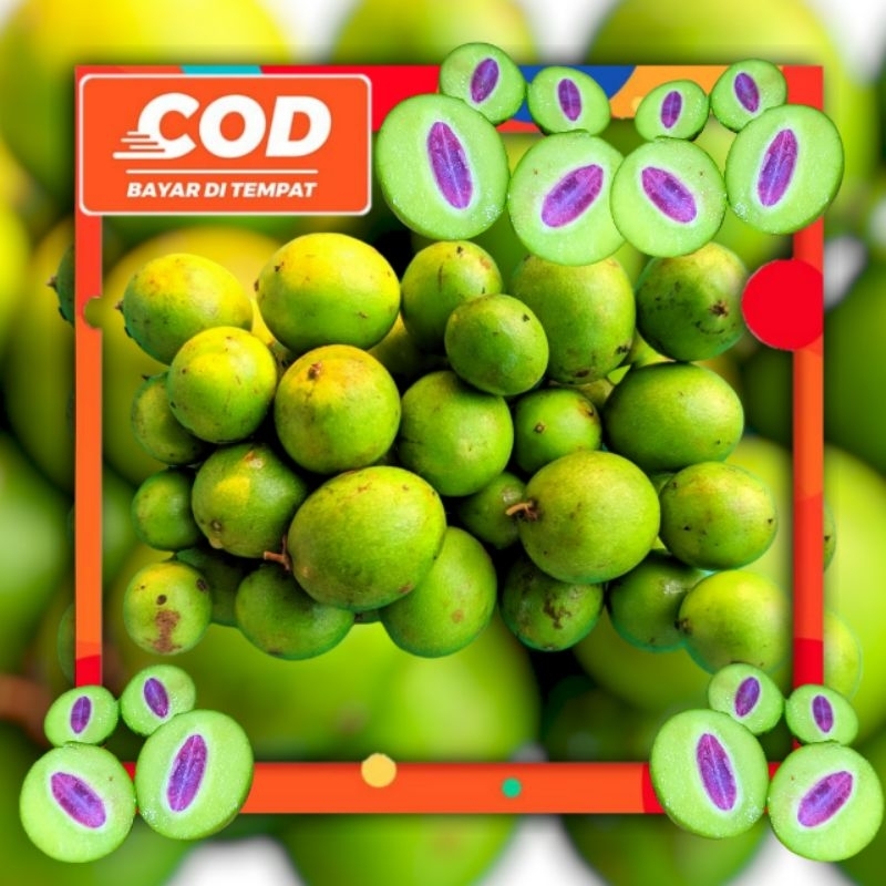 Jual Buah Jatake Gandaria Ramania 250gr Fresh No PO | Shopee Indonesia