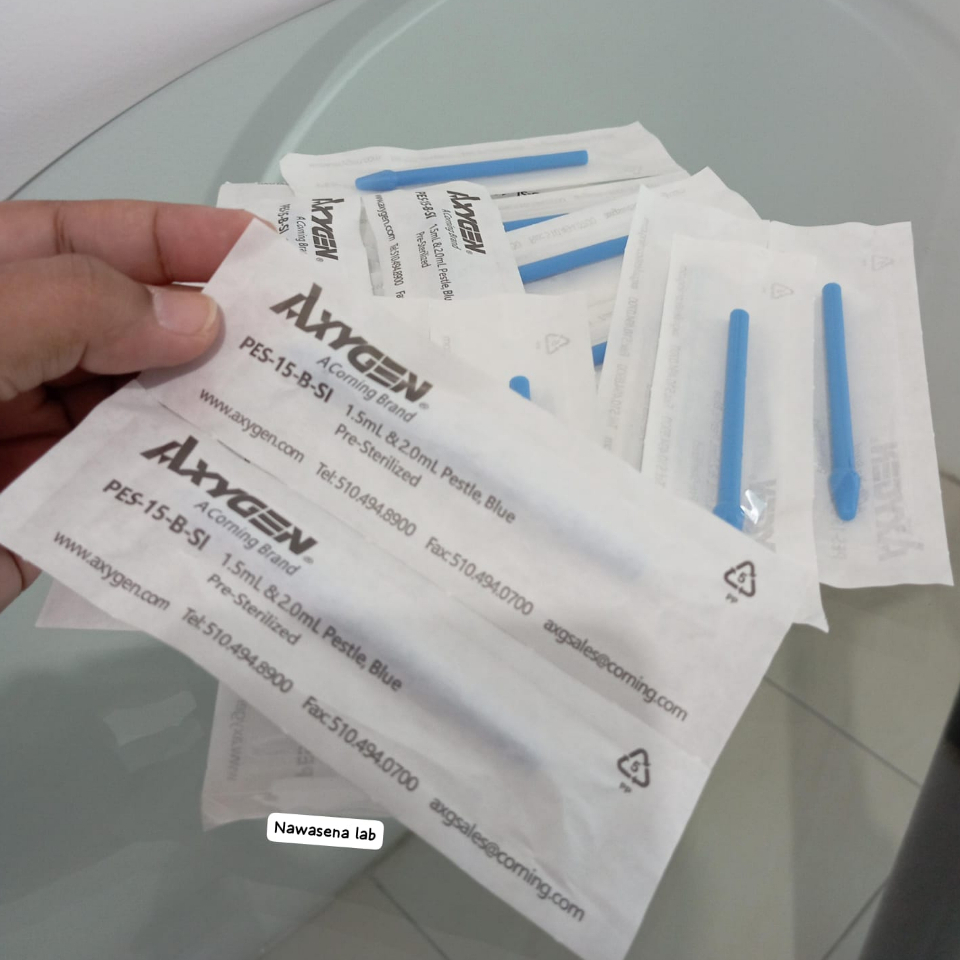 Jual Tissue Grinder Plastik Pestle Sterile for Sample Homogenizer ...