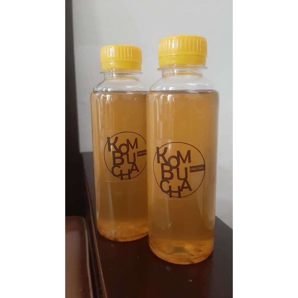 Jual Kombucha Green Tea Siap Minum 250ml | Shopee Indonesia