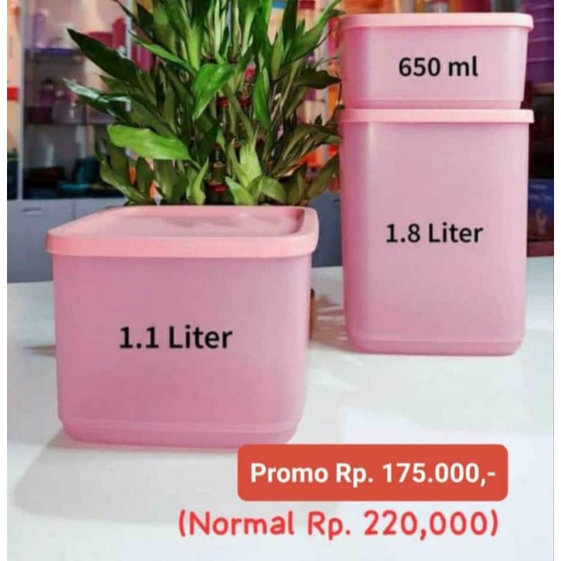 Jual Tupperware Lunch box pink | Shopee Indonesia