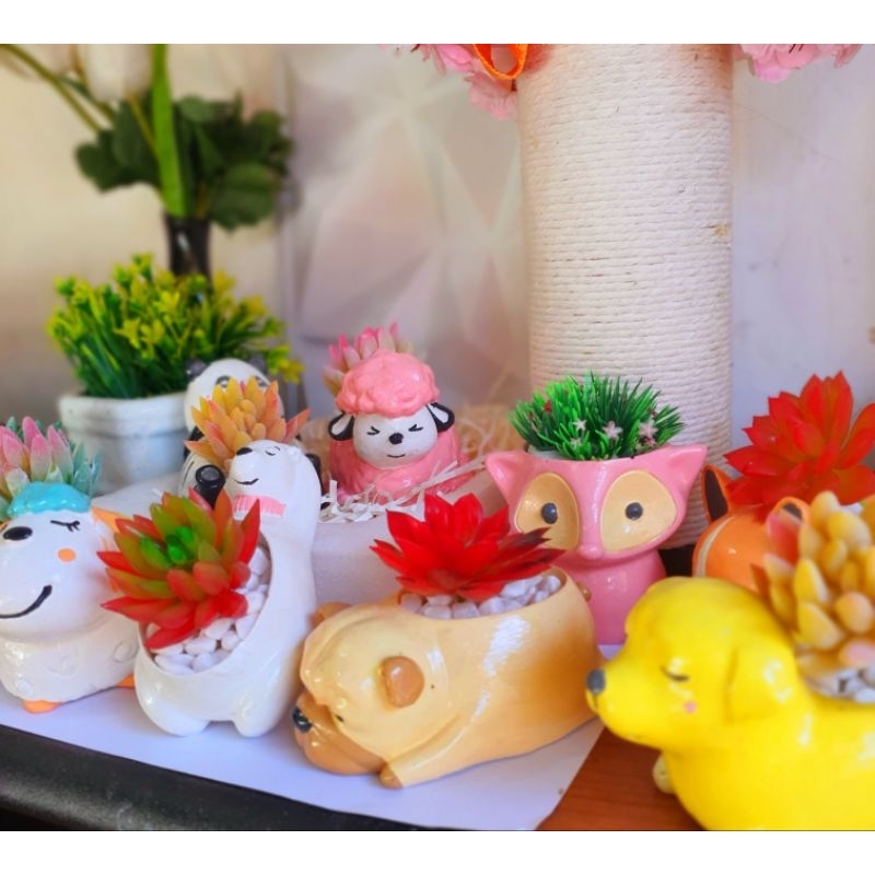 Jual MINICOTTA - pot bunga unik kaktus sukulen tanaman hias karakter ...