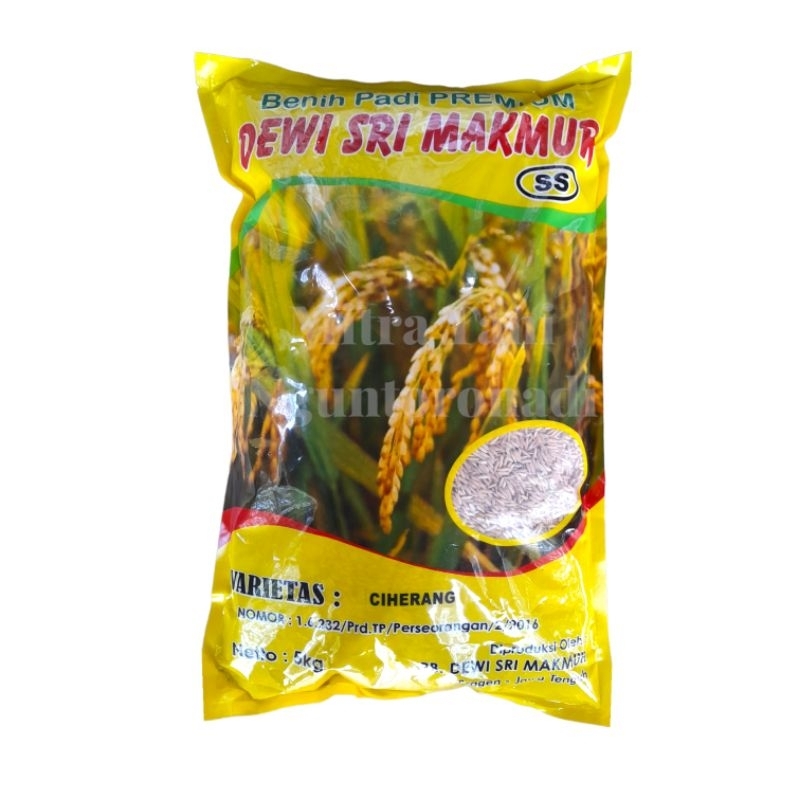 Jual Benih Padi Premium Ciherang Cap Dewi Sri Makmur 5Kg | Shopee Indonesia