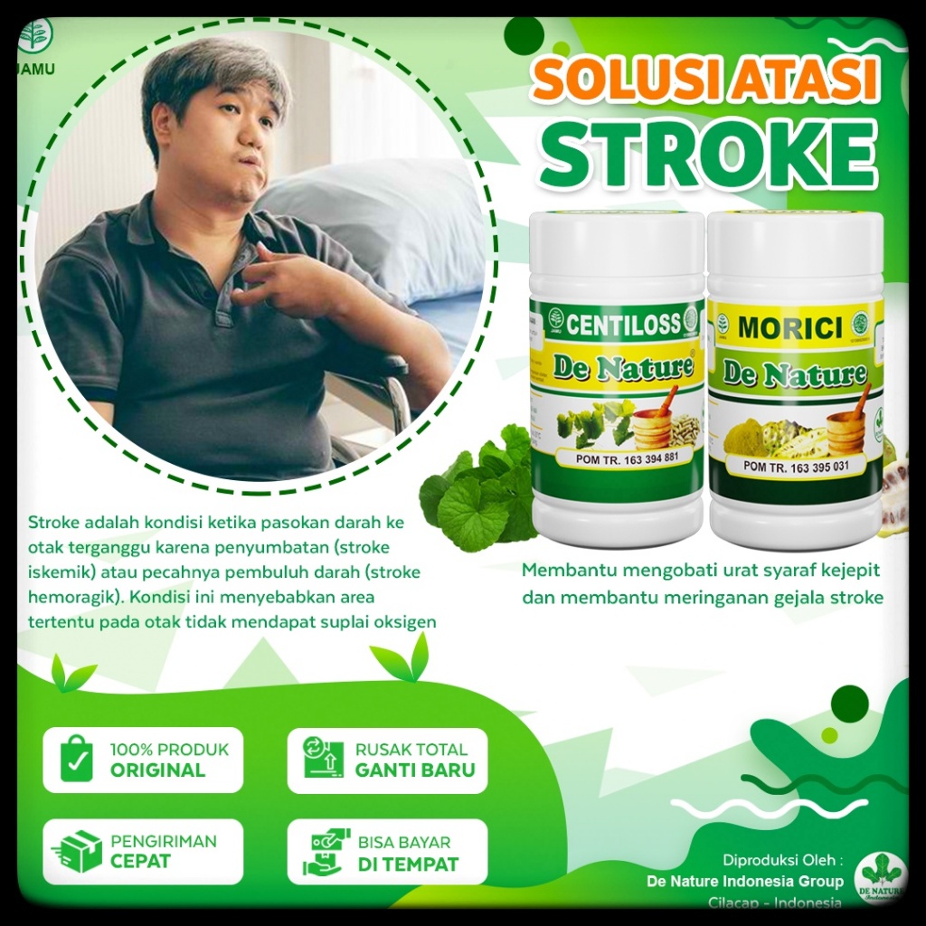 Jual OBAT HERBAL STROKE STRUK STRUKE STROK URAT SYARAF KEJEPIT DE ...