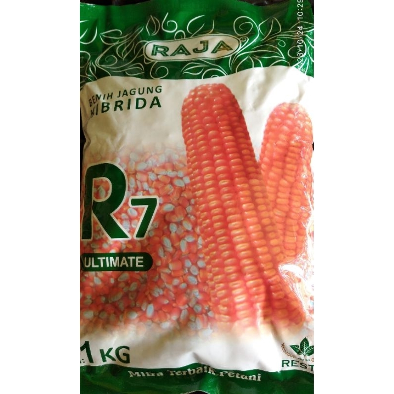 Jual BENIH JAGUNG RAJA ULTIMATE 1 KG | Shopee Indonesia