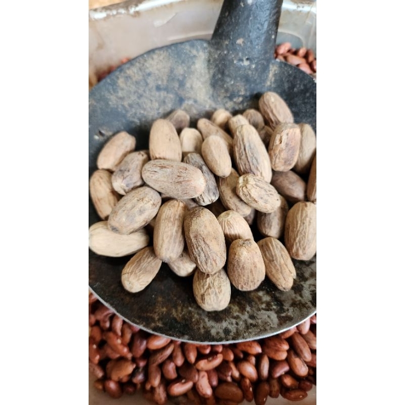 Jual pala kupas lonjong 1kg - pala kupas masak | Shopee Indonesia