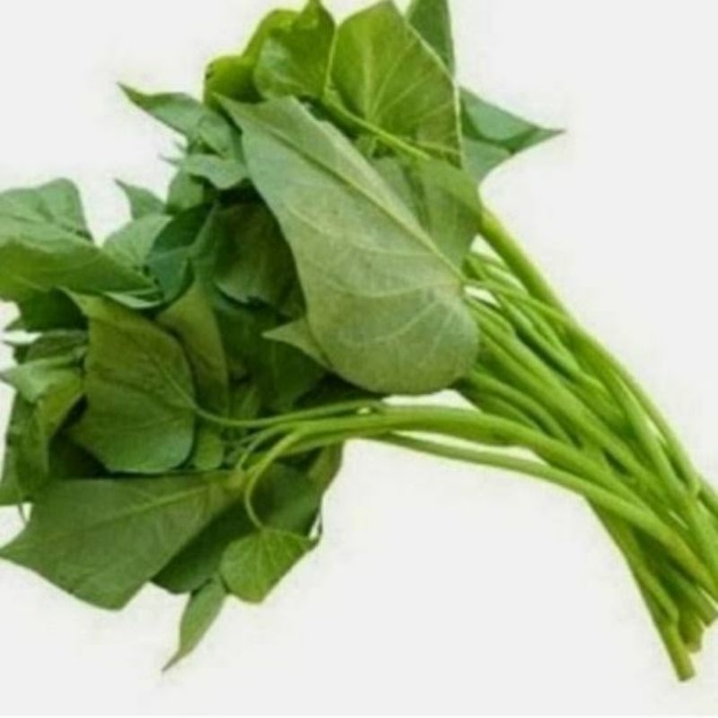 Jual Daun ubi / lung telo 1 ikat - sayur solo | Shopee Indonesia