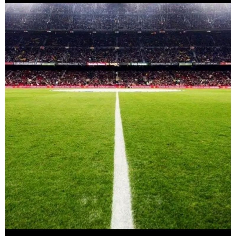 Jual benih biji rumput stadion 500 gram | Shopee Indonesia