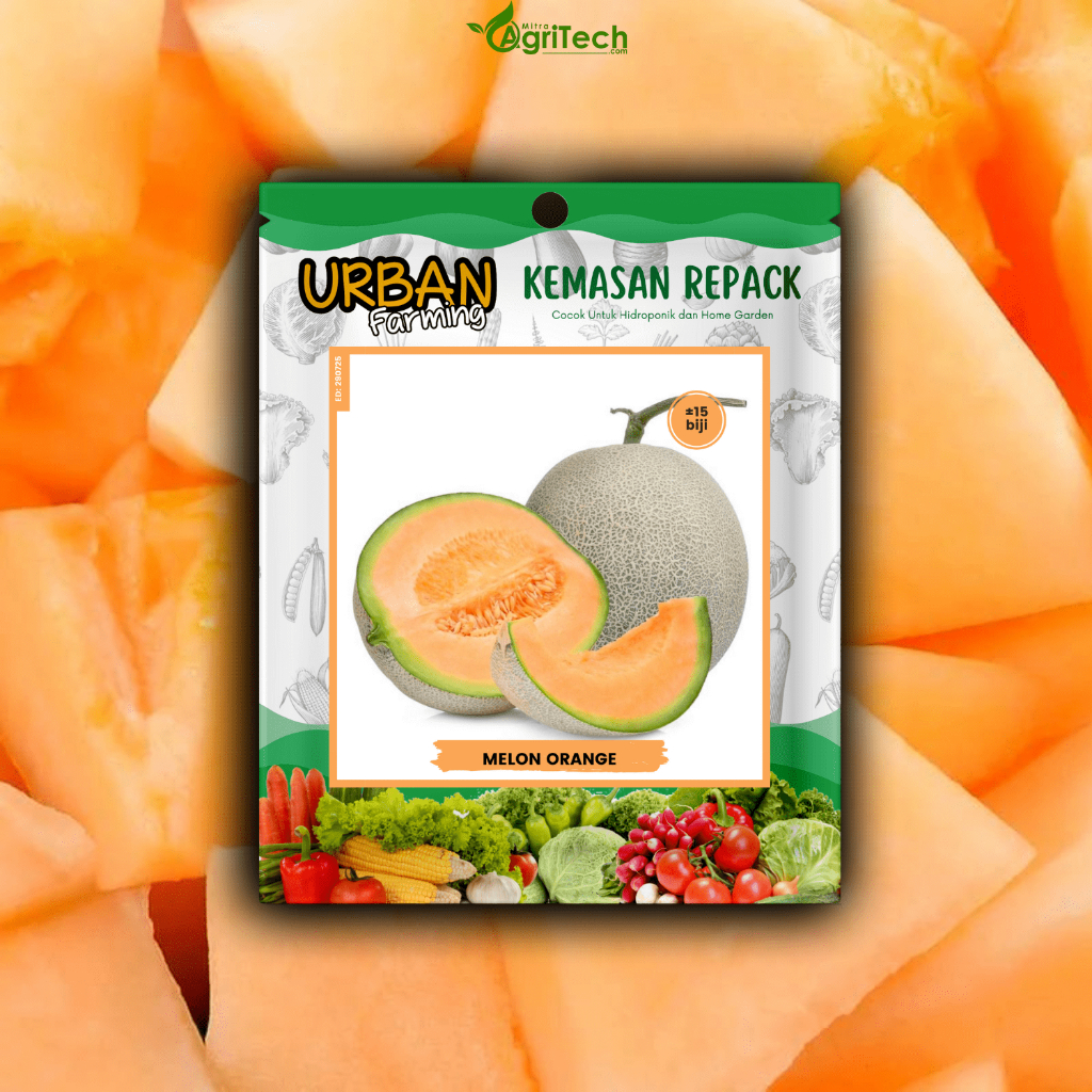 Jual BENIH BIBIT MELON ORANGE BULAT ISI 15 BIJI KEMASAN REPACK | Shopee ...