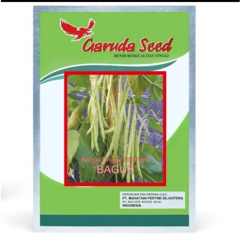 Jual Benih Bibit Buncis Putih Unggul Baguz Biji Putih 50 Gram Garuda ...