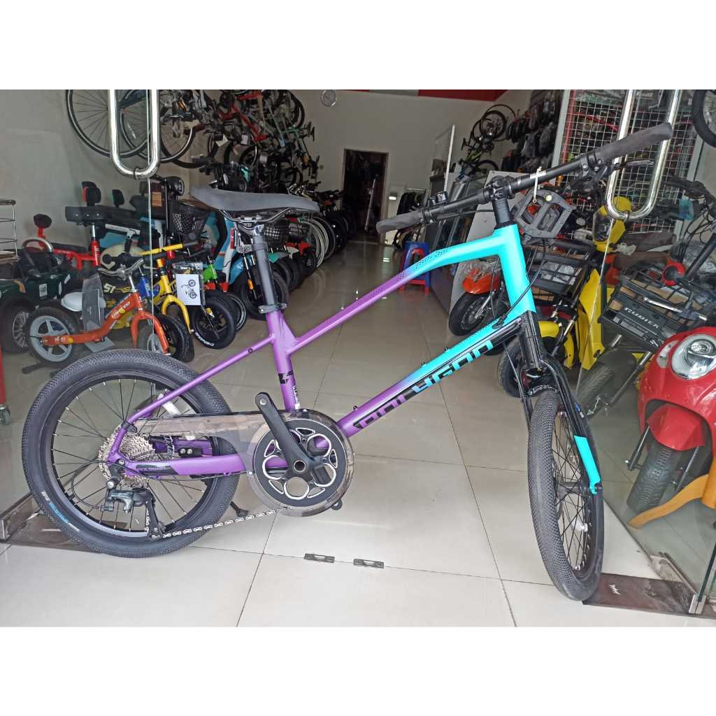 Jual MINI VELO SEPEDA POLYGON ZETA 2 20X14 | Shopee Indonesia