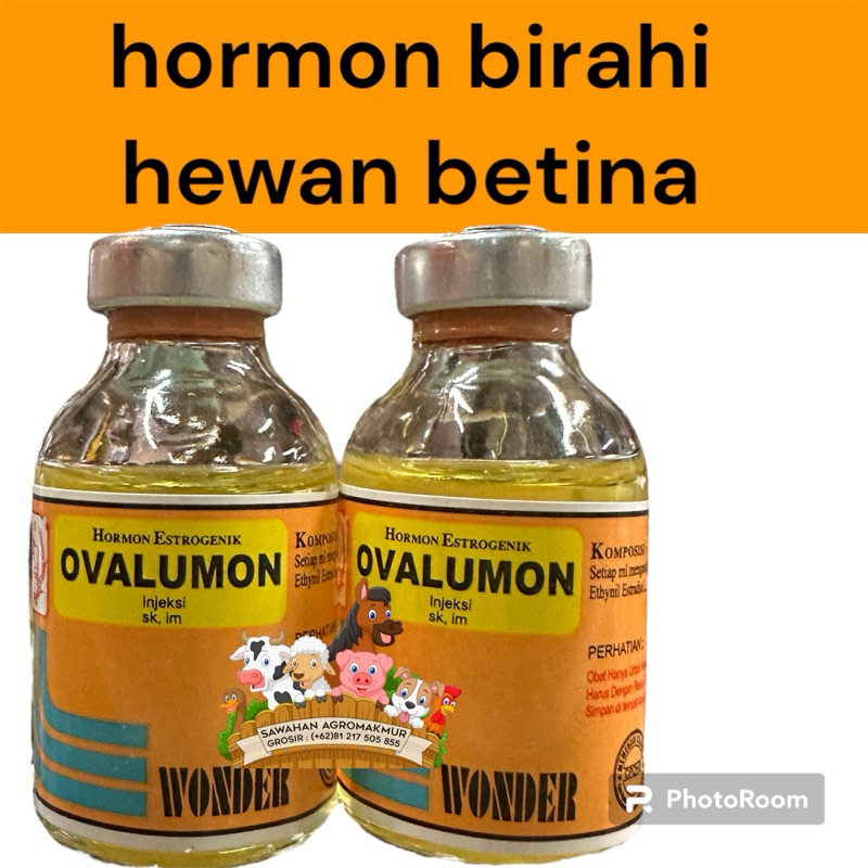 Jual OVALUMON 20 ml Hormon Pemacu Birahi Hewan Betina | Reproduksi ...