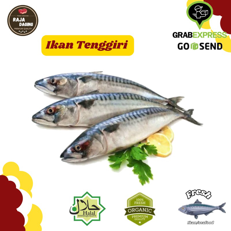 Jual IKAN TENGGIRI FRESH (1Kg) | Shopee Indonesia