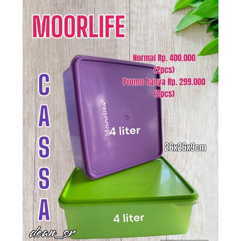 Jual Moorlife - 1 Pcs Cassa Moorlife 4 Liter / Tempat bolu / Tempat ...
